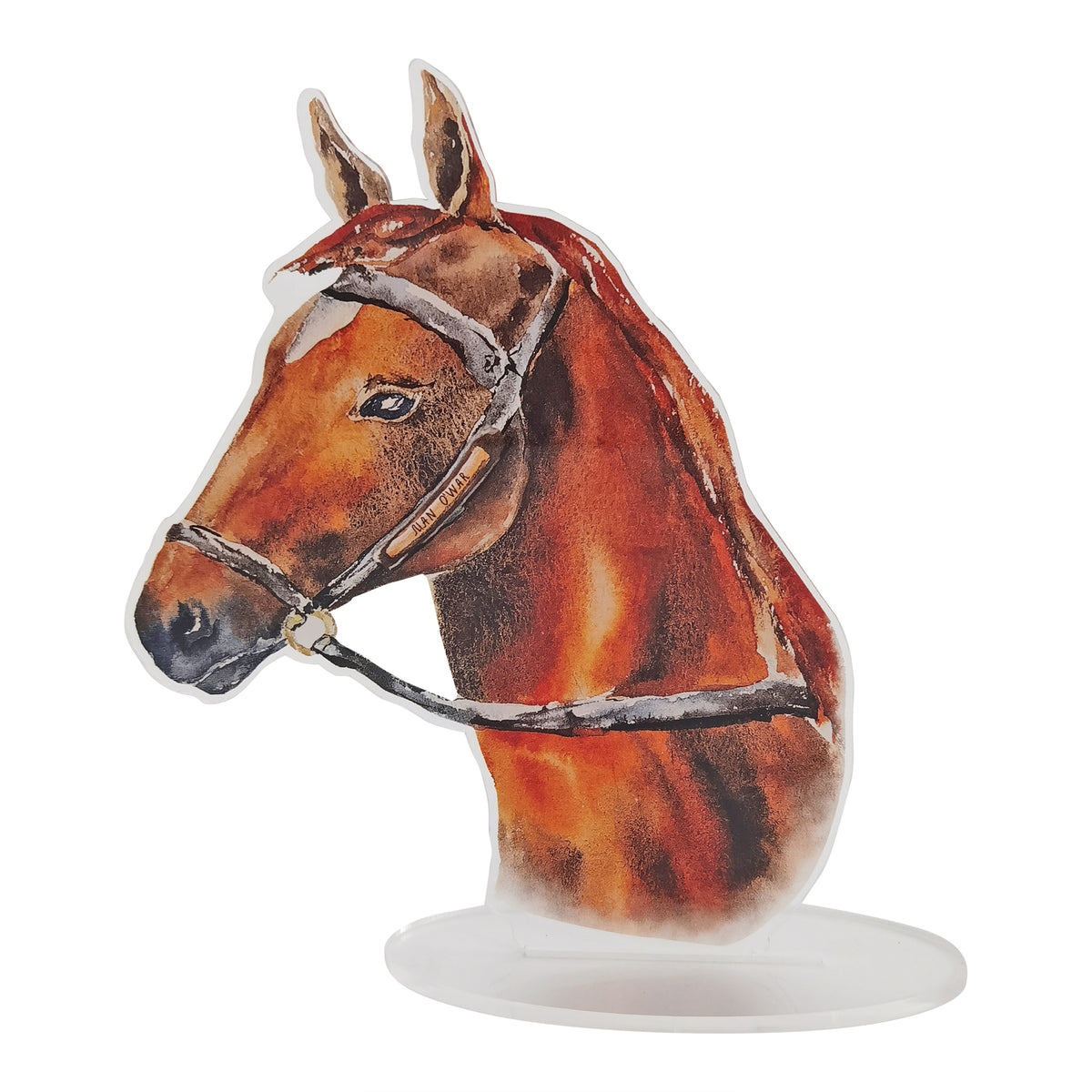 Horse Head Acrylic Standee – Barrel Down South